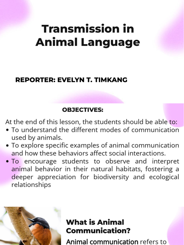 Transmission in Animal Language | PDF