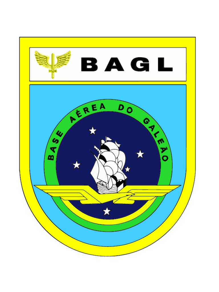 Bagl Vetorizado Colorido | PDF