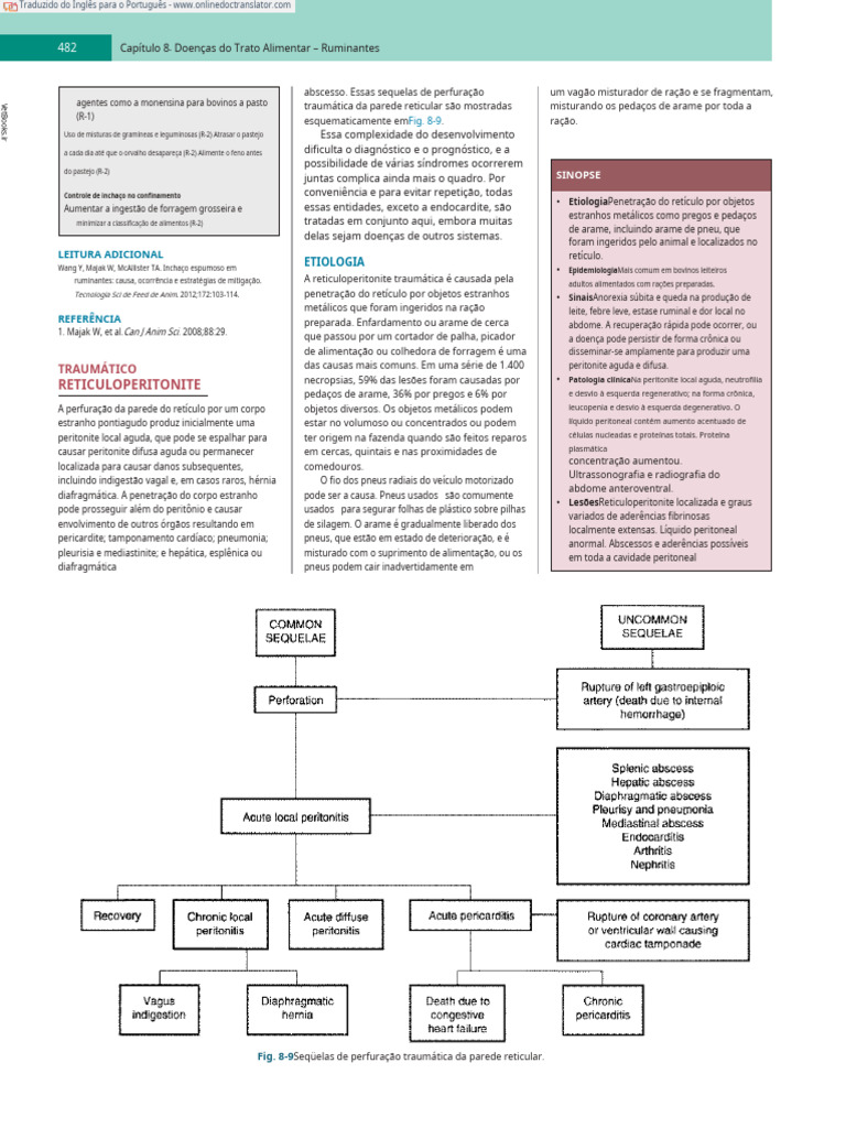 Capítulo RPT PT | PDF