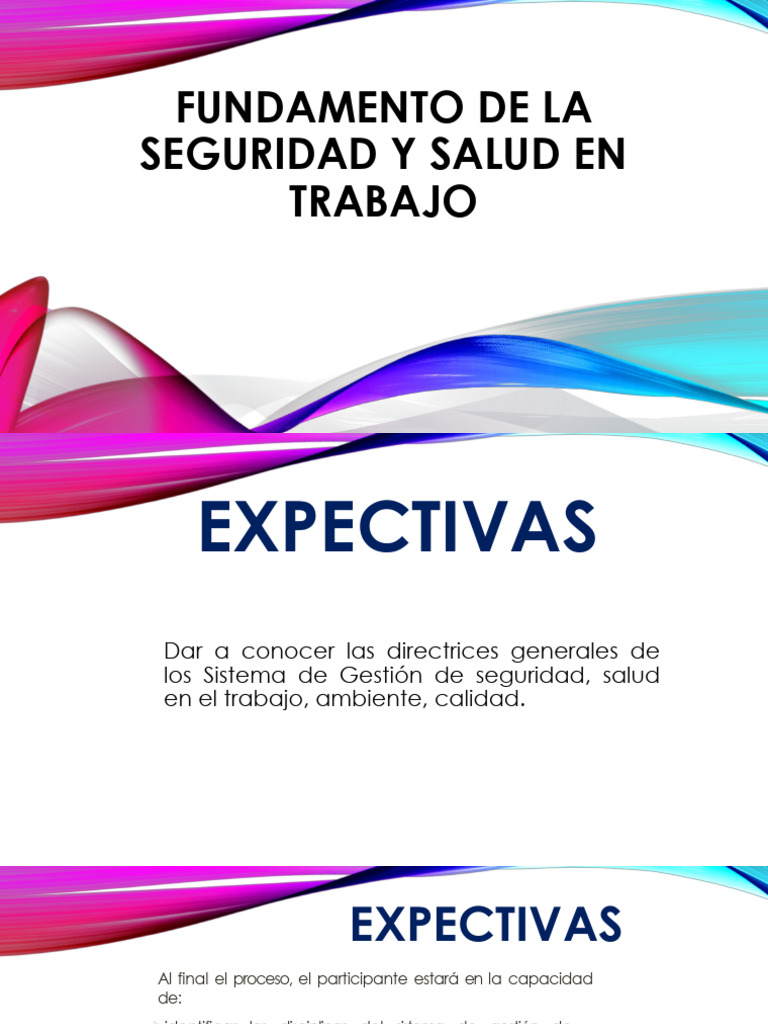 FUNDAMENTO DE LA SEGURIDAD Y SALUD EN TRABAJO Sub | PDF | Higiene Ocupacional | Negocios