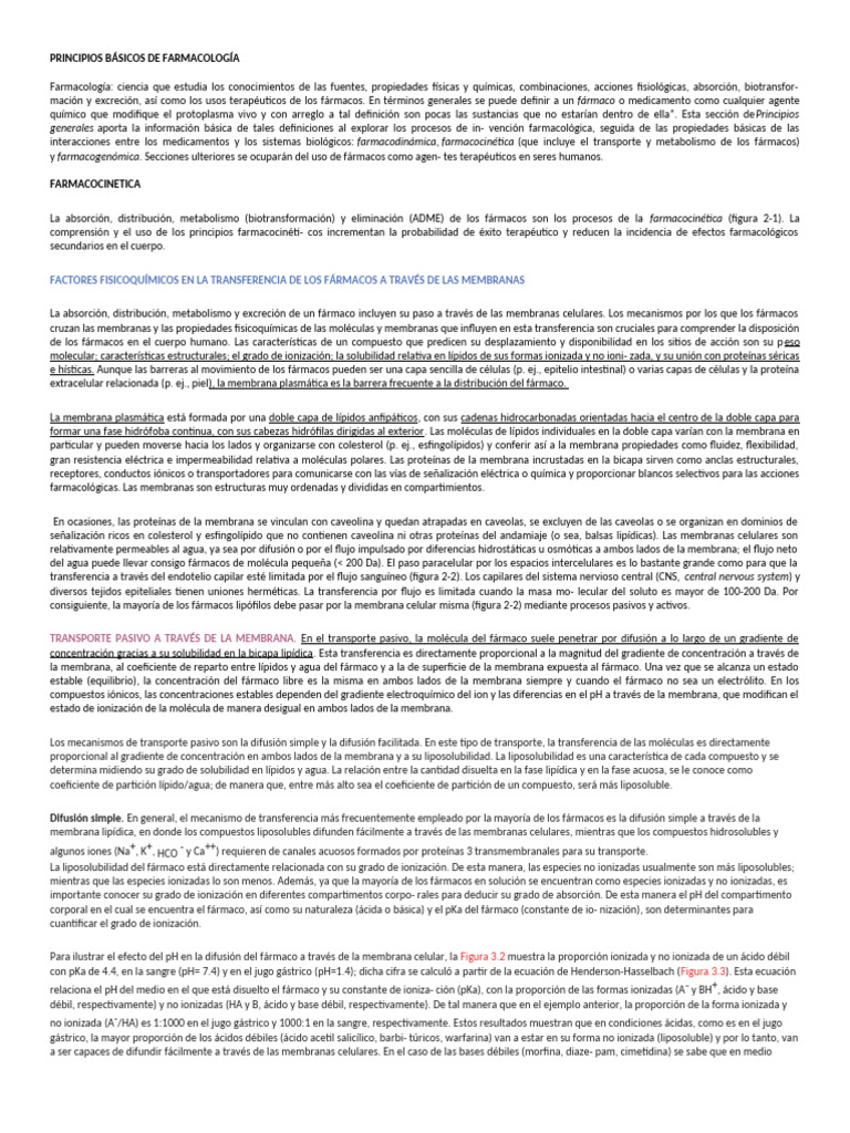 Expo Principios Basicos | PDF