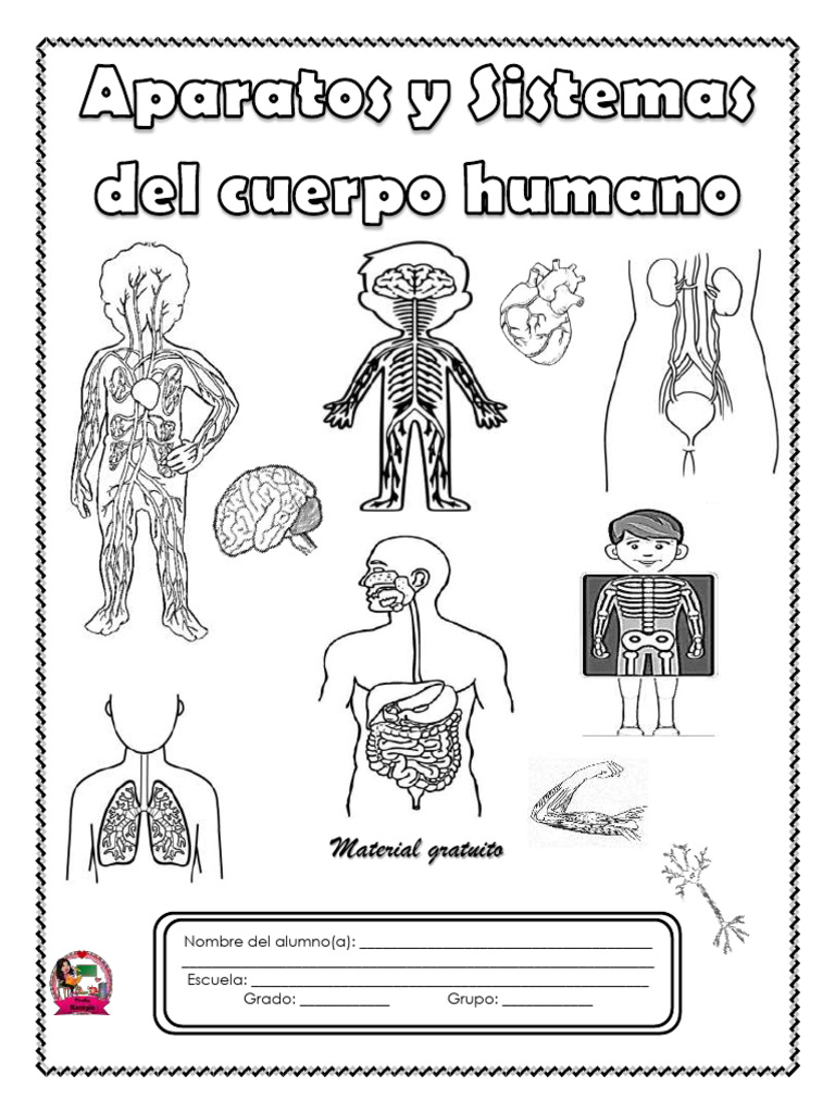 Cuadernillo de Aparatos y Sistemas Profa. Kempis | PDF | Sistema urinario | Sistema respiratorio