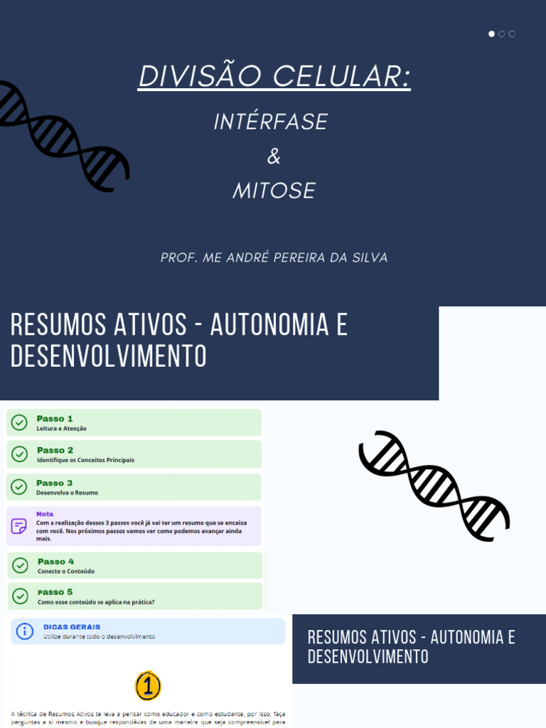 Aula Interfase Mitose Andre Pereira Da Silva | PDF