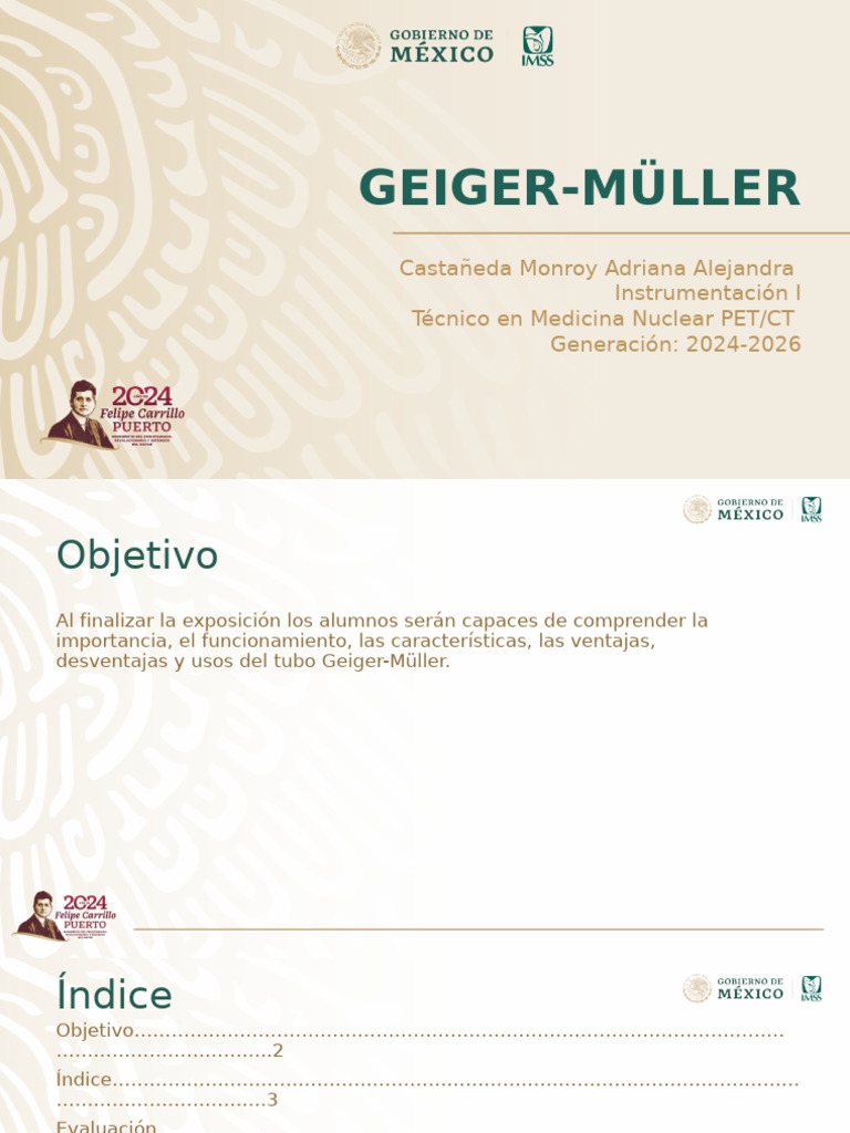 Presentación Instrumentación Geiger-Muller | PDF
