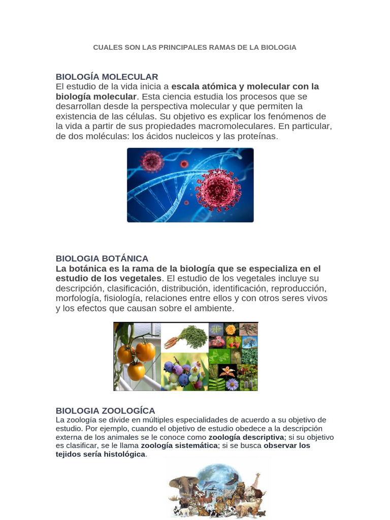 Principales Ramas de La Biologia | PDF