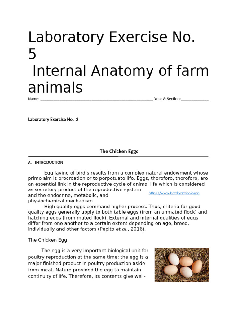 Laboratory No. 2 | PDF