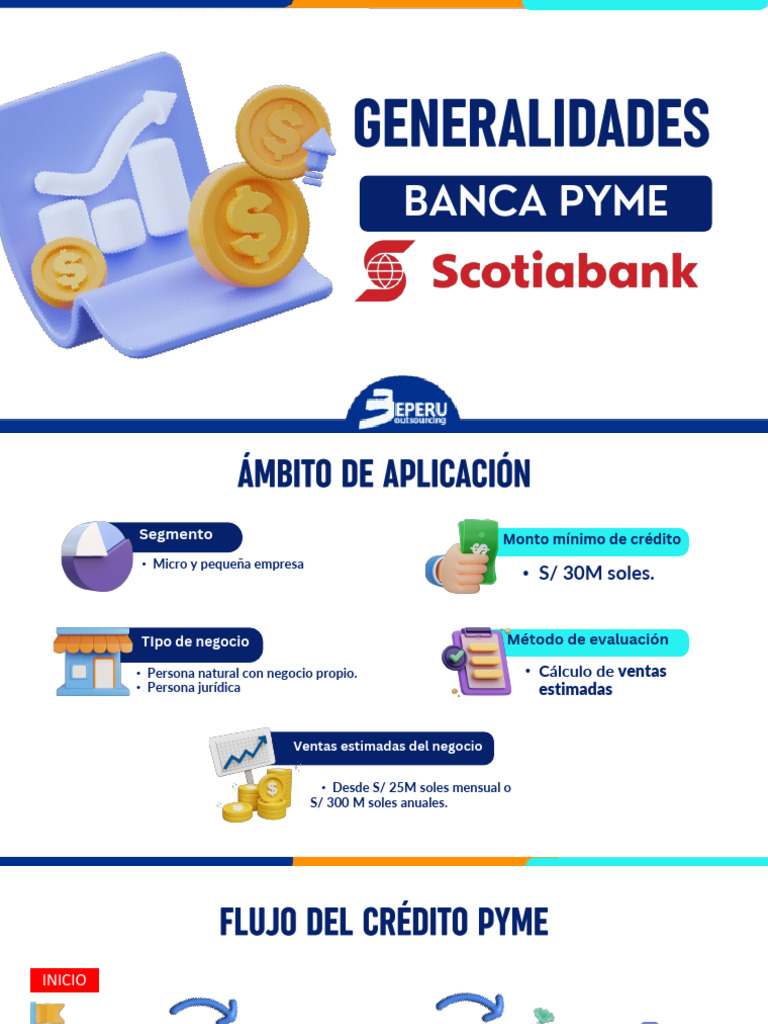 1.- GENERALIDADES PYME 2024 | PDF