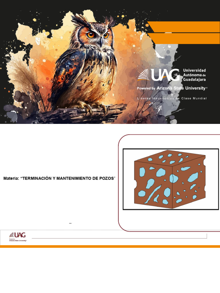 Eda 2 - M2 - TMPP 3 - Equipo 2 | PDF