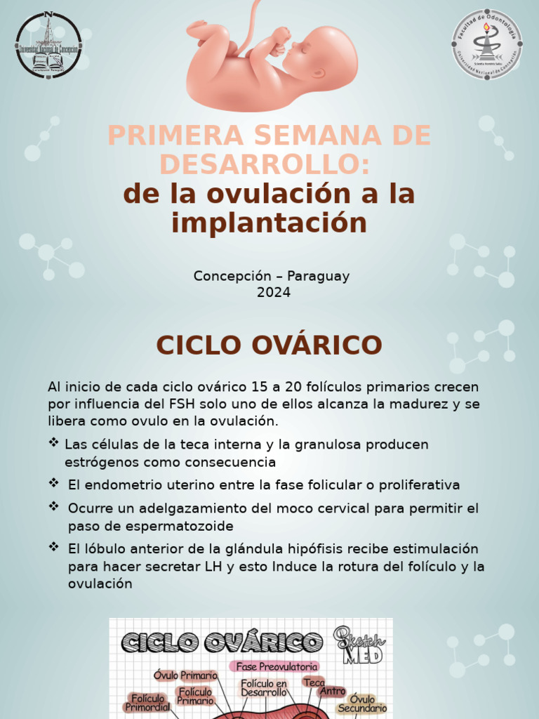 Embryology Case Study - Genome Edited Human Embryos by Slidesgo | PDF