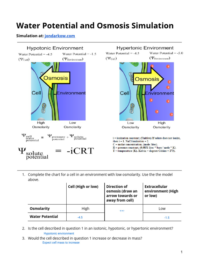 Kami Export - John D. Water Potential and Osmosis Simulation | PDF