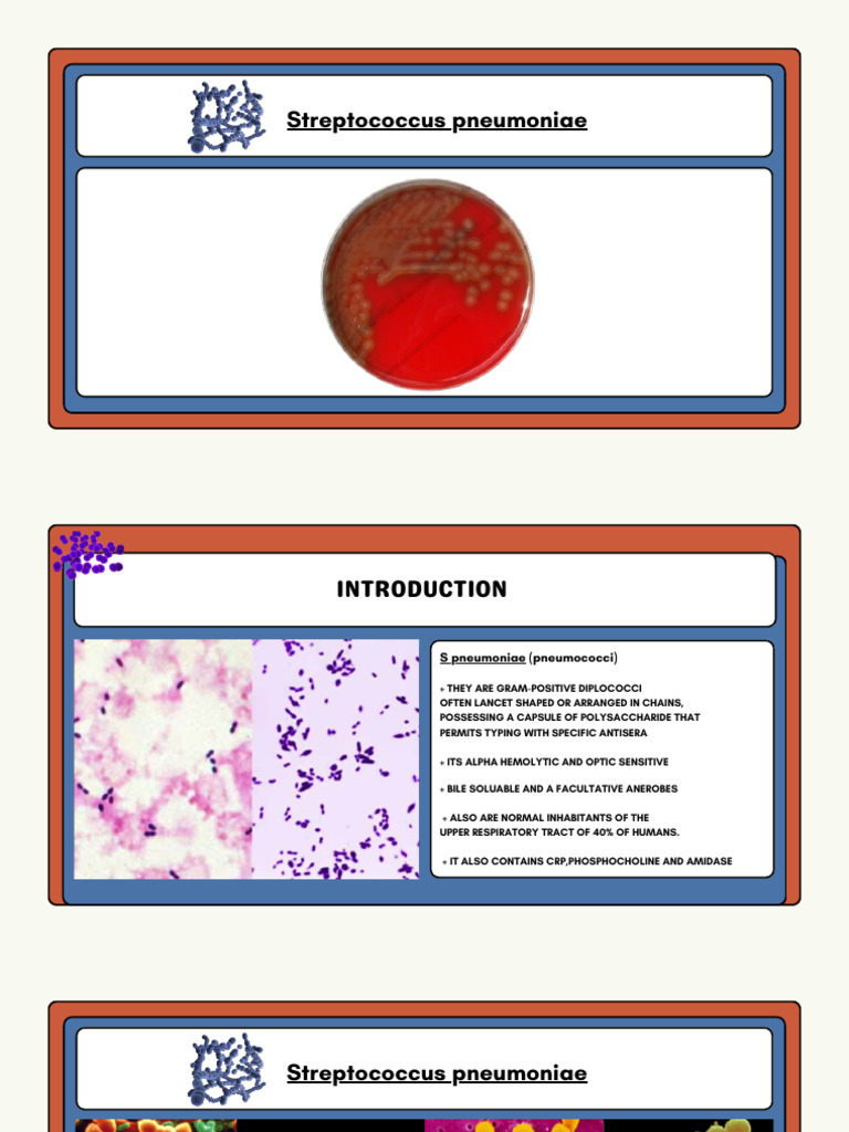 STREP-PNEUMONIAE | PDF