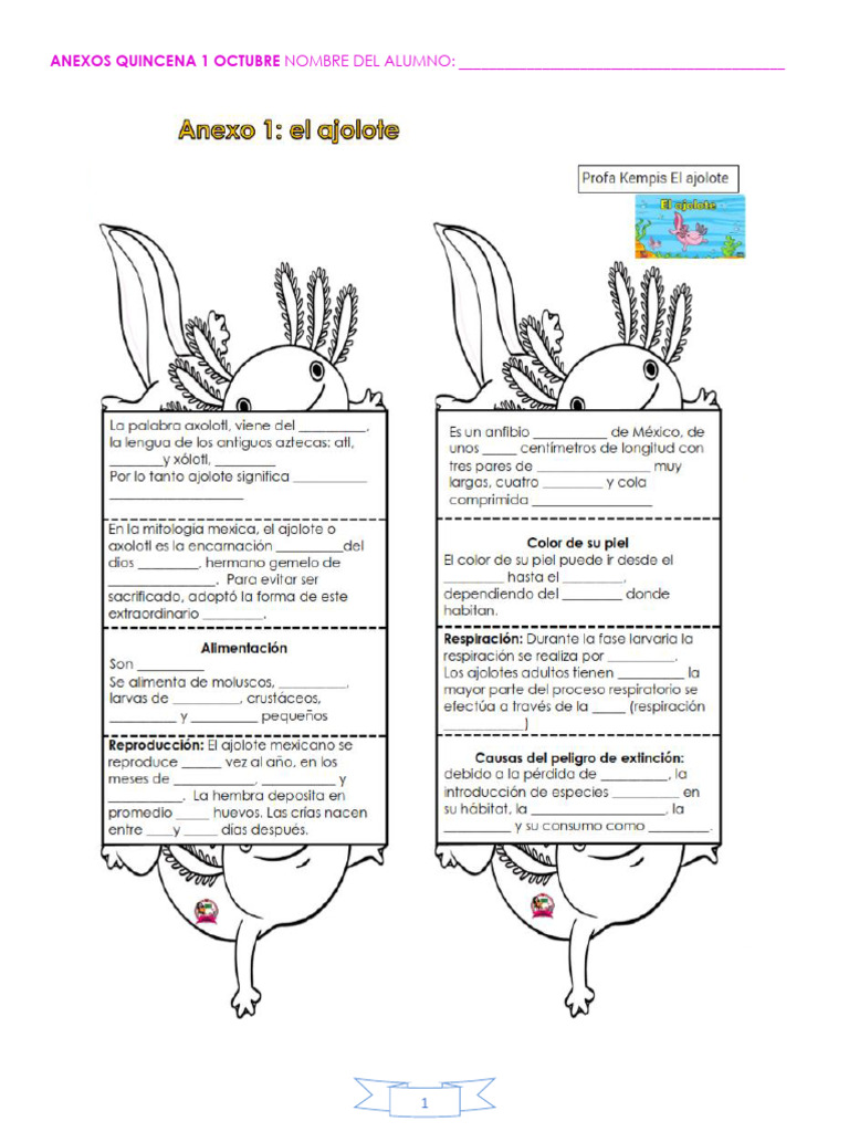 Anexos Quincena 1 Octubre | PDF
