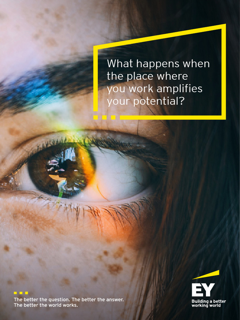 Ey de and I Brochure 2023 | PDF