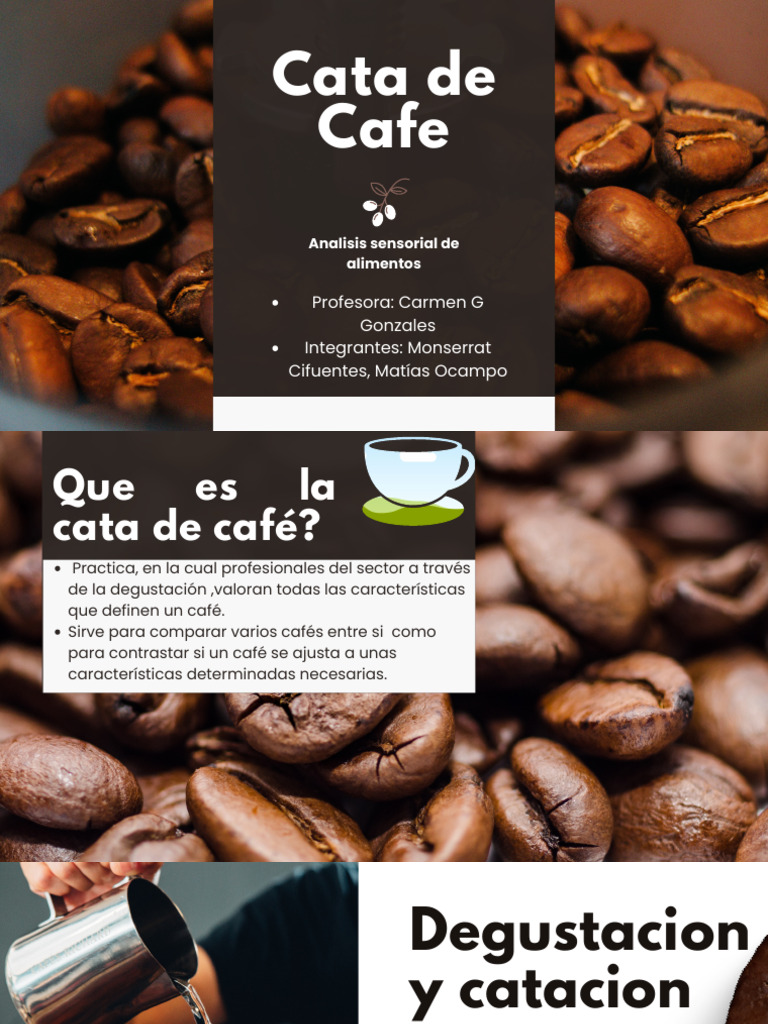 Cata de Cafe | PDF