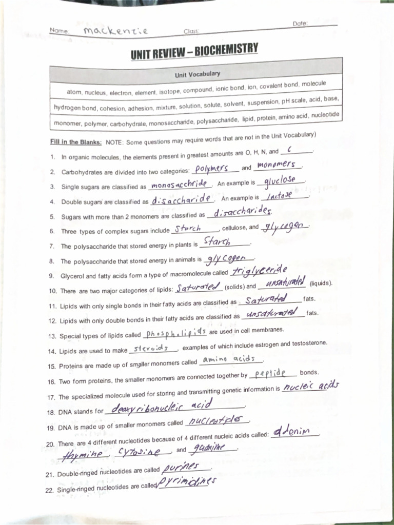 Worksheet | PDF