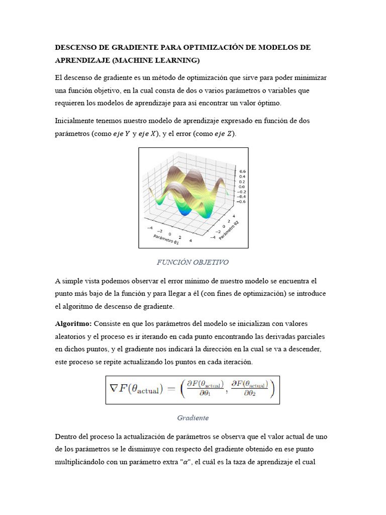 DESCENSO DE GRAD Prueba | PDF