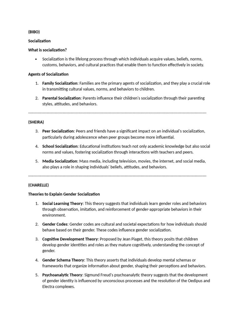 Bibo G&S report | PDF