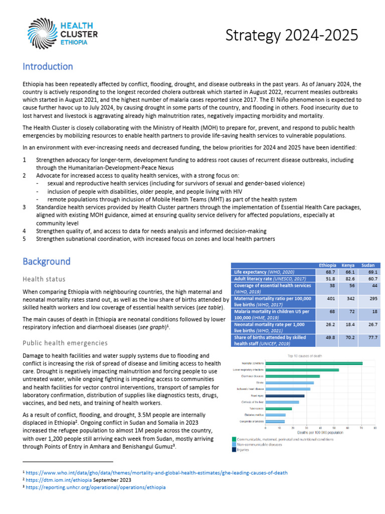 Ethiopia Health Cluster Strategy 2024 2025 | PDF