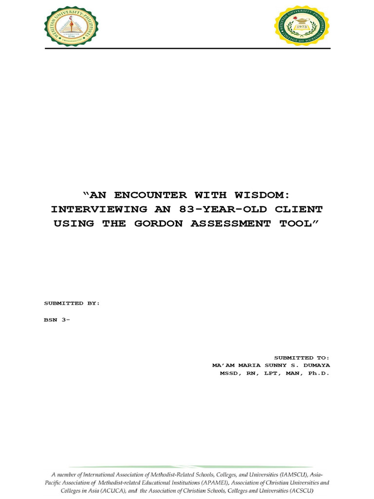 Gordon Assessment Tool Sample | PDF