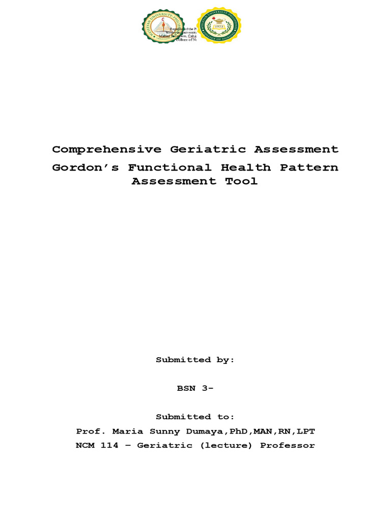 Gordon Assessment Tool Sample 2 | PDF