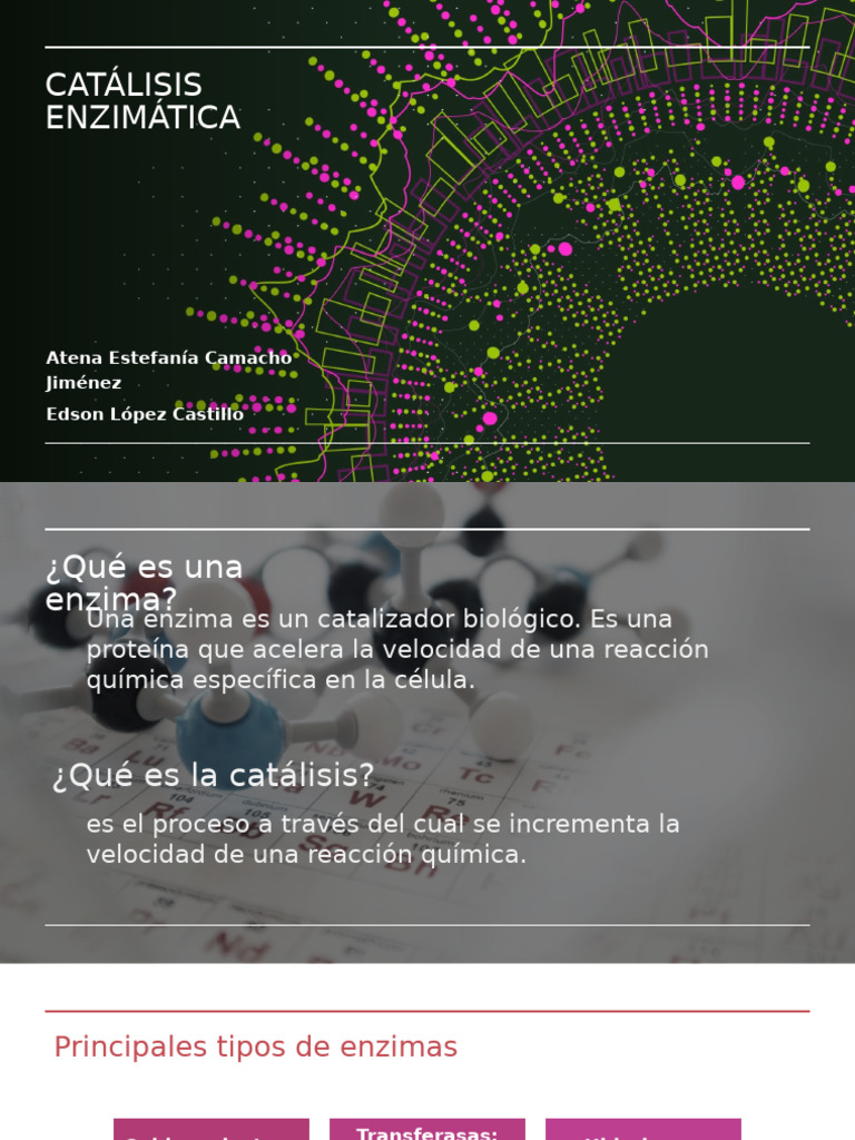 Catálisis Enzimática | PDF