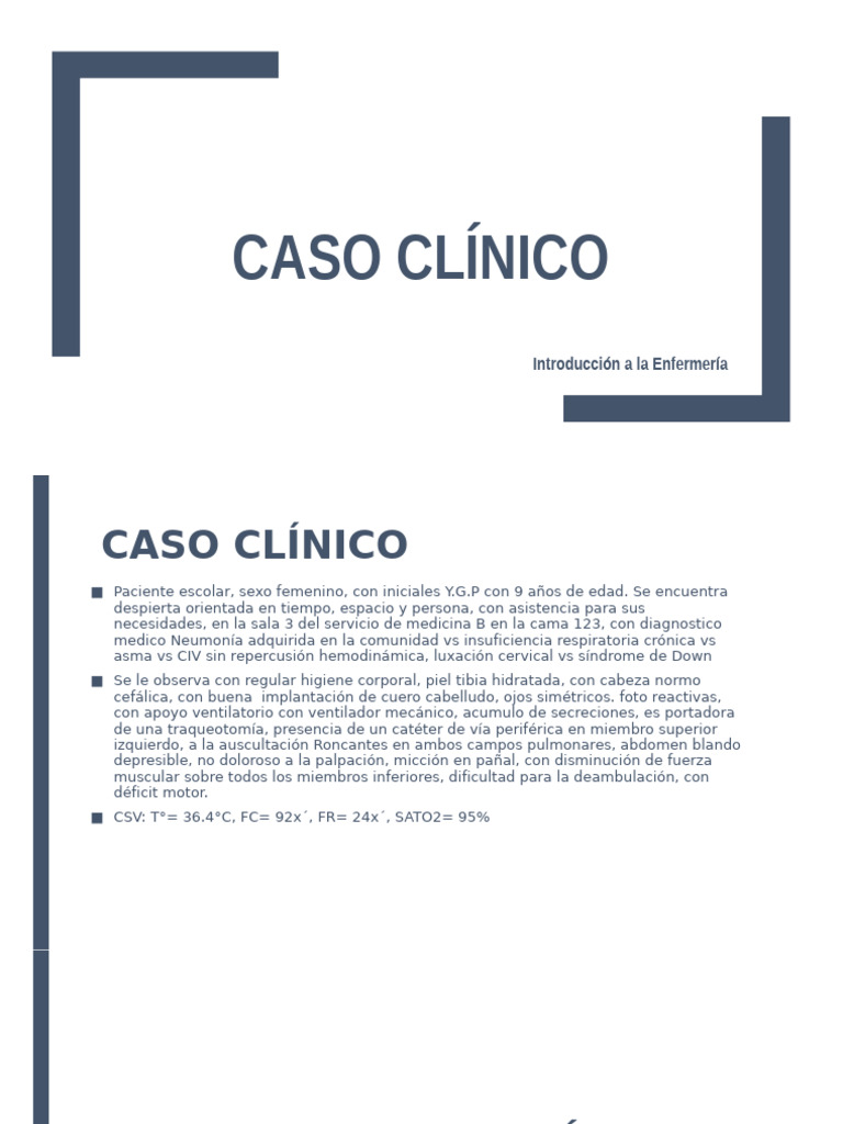 Presentación1 PAE FINAL | PDF