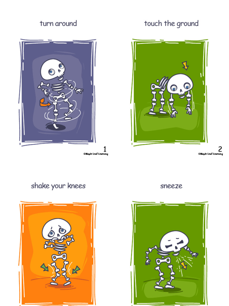 Skeleton Skeleton Song Flashcards (12 Thẻ) | PDF