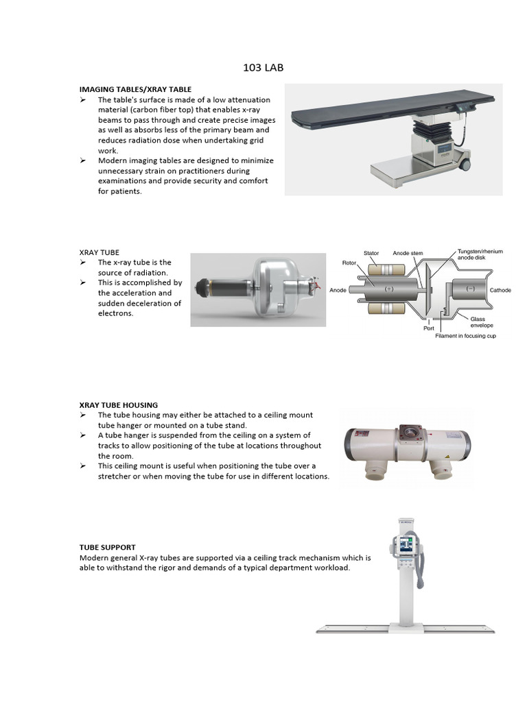 103 Lab From The SS | PDF