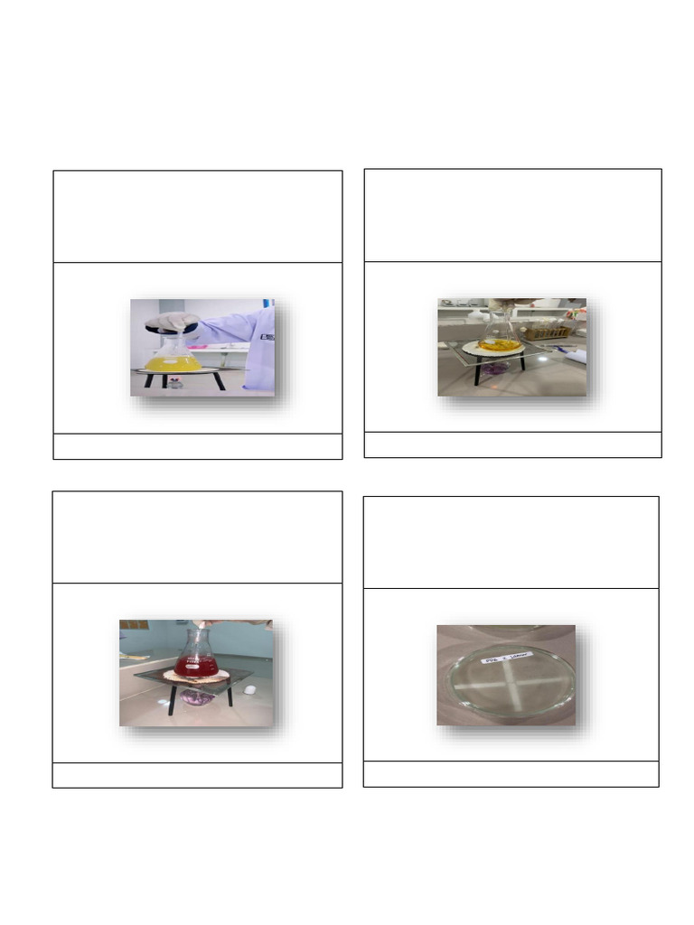 Lampiran Mikro Perc 2 | PDF