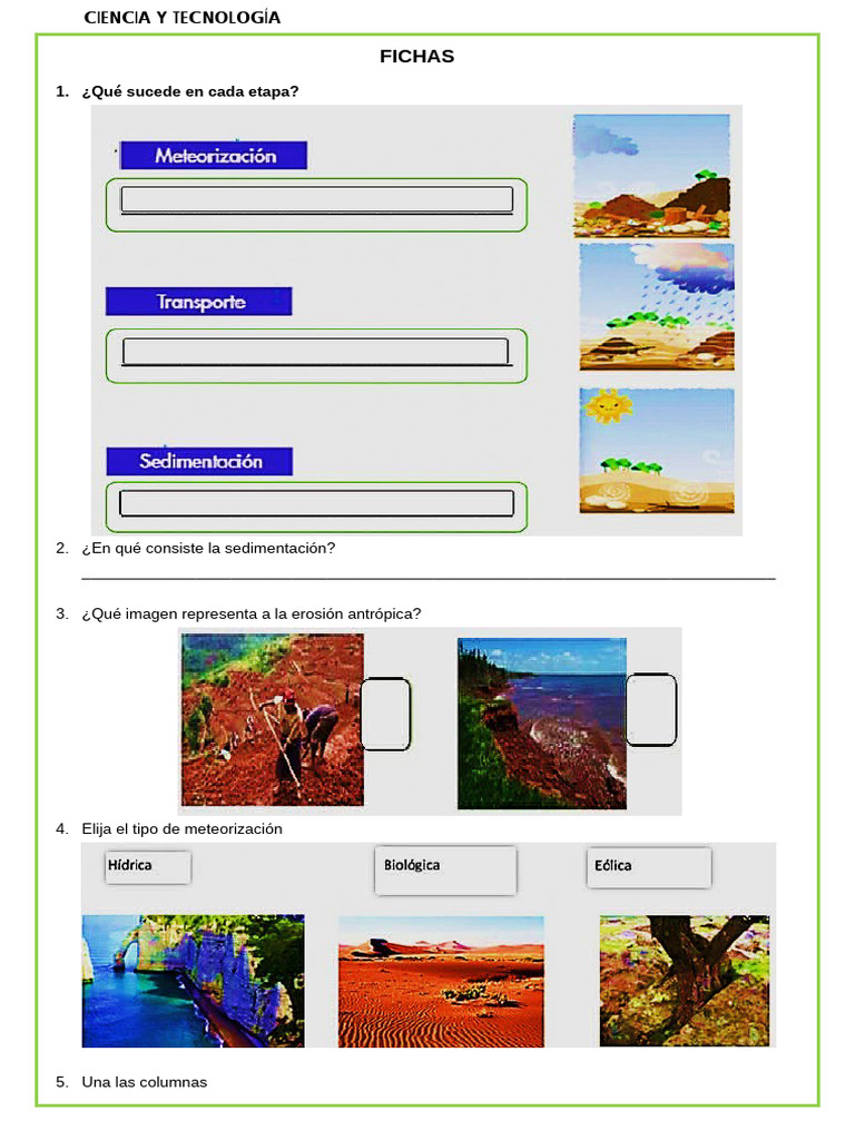 Ficha de Cyt 09-10-2024 | PDF