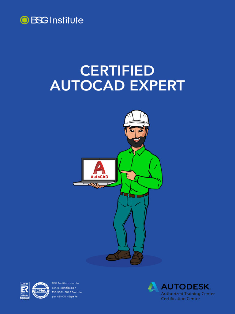P Autocad Expert | PDF