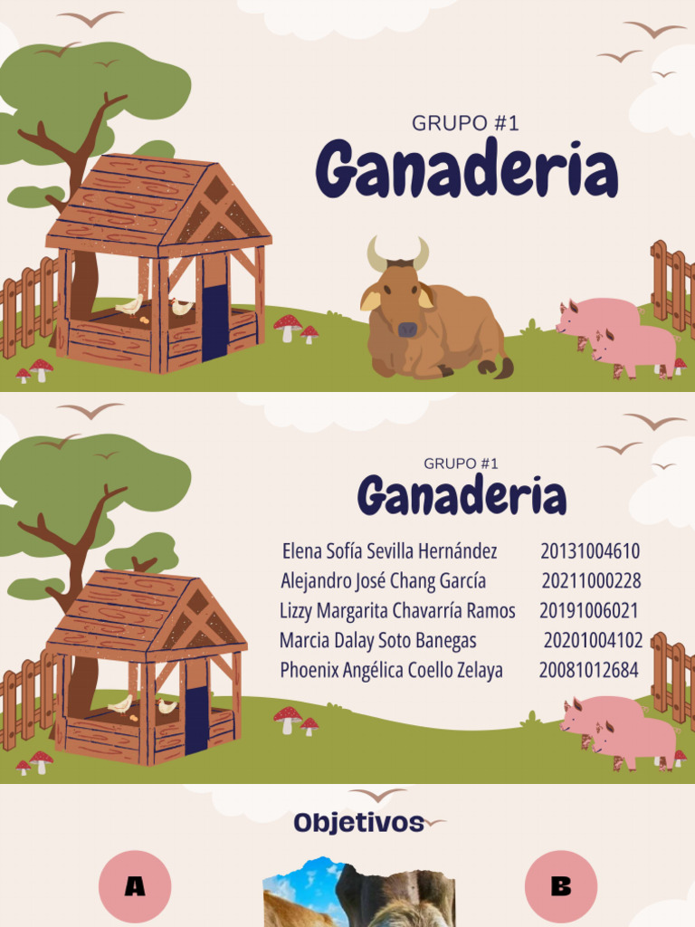 Expo Compressed | PDF