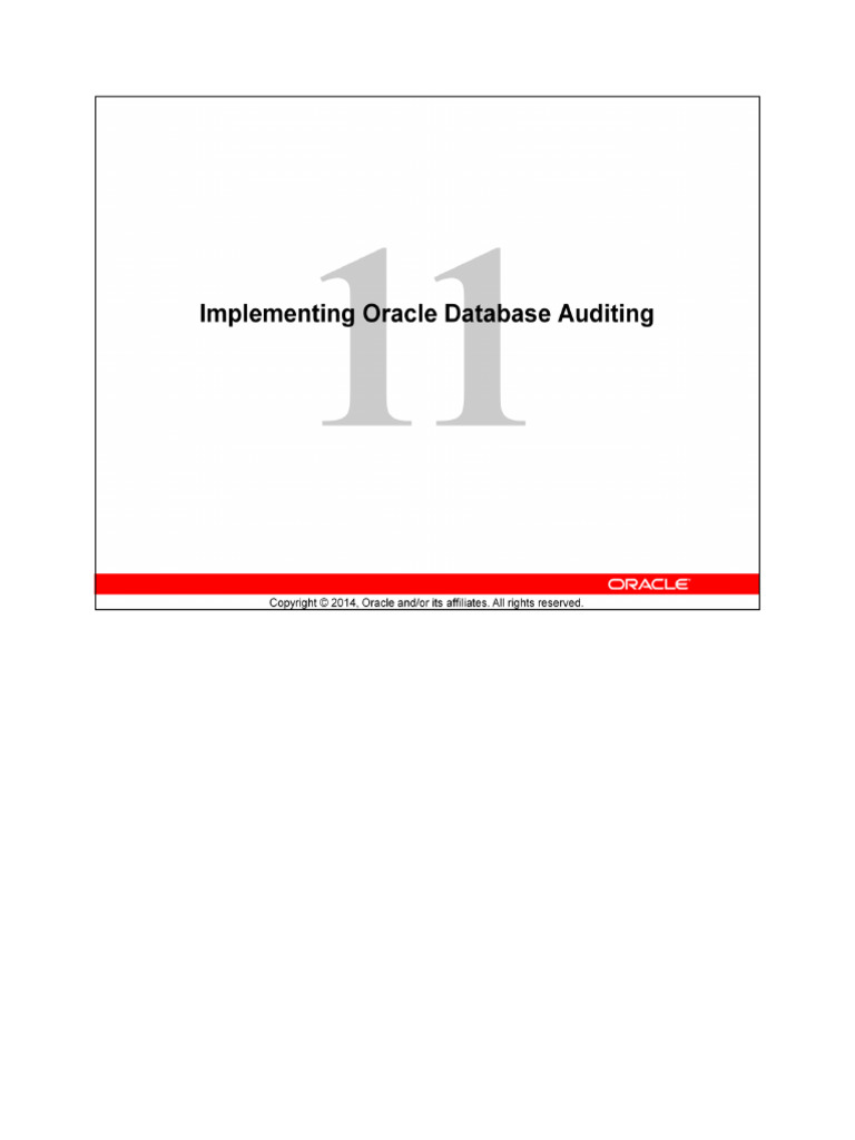 D78846GC20 11 Auditing | PDF