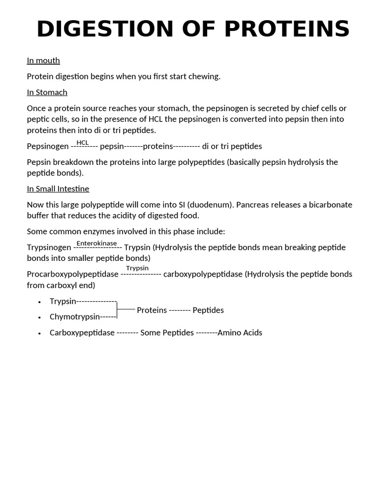 DIGESTION OF PROTEINS, Carbohydrates and Lipids | PDF
