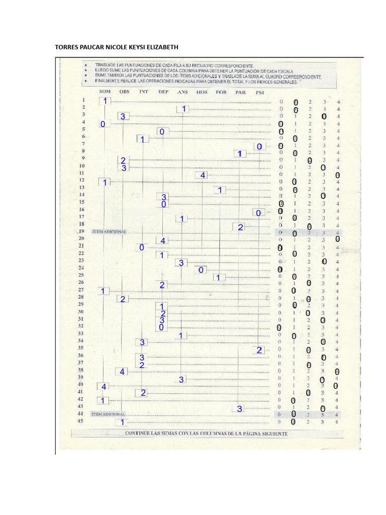 PROTOCOLO Corrección | PDF