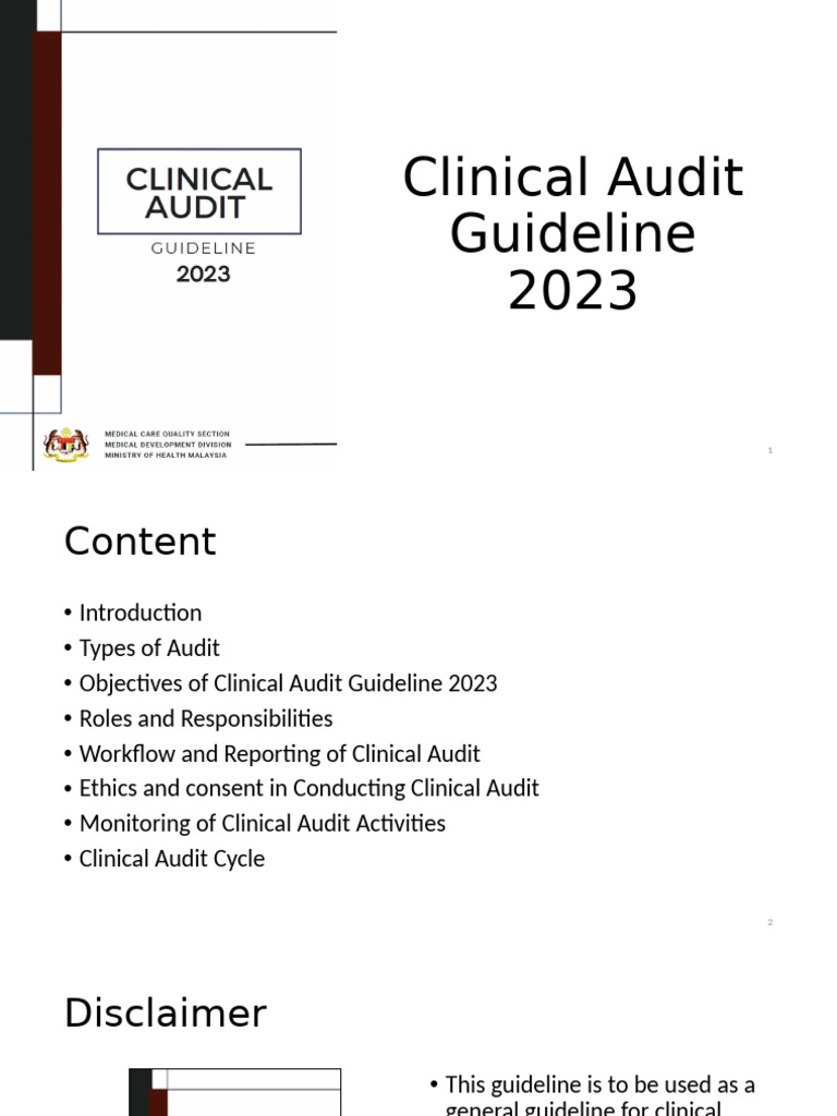 Clinical Audit Guideline 19092023 | PDF
