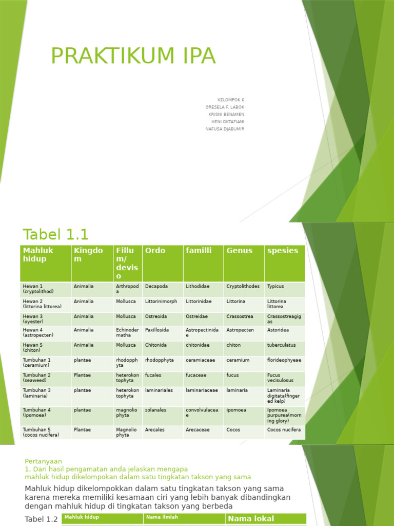 Kelompok 6 IPA | PDF