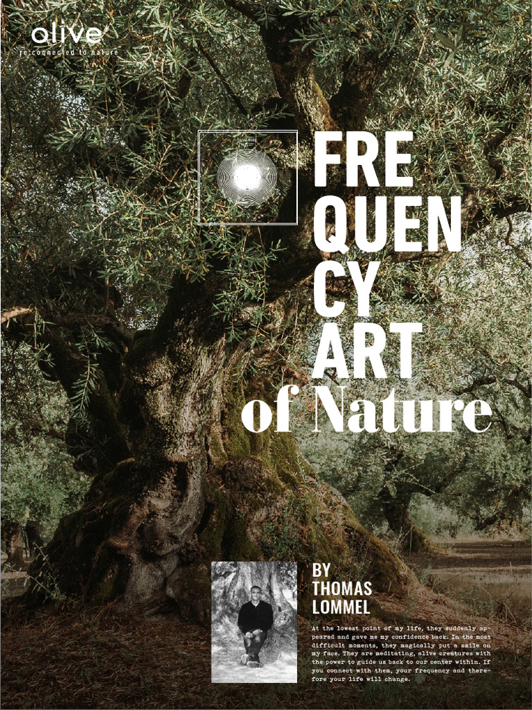 Big Olive 2023 | PDF