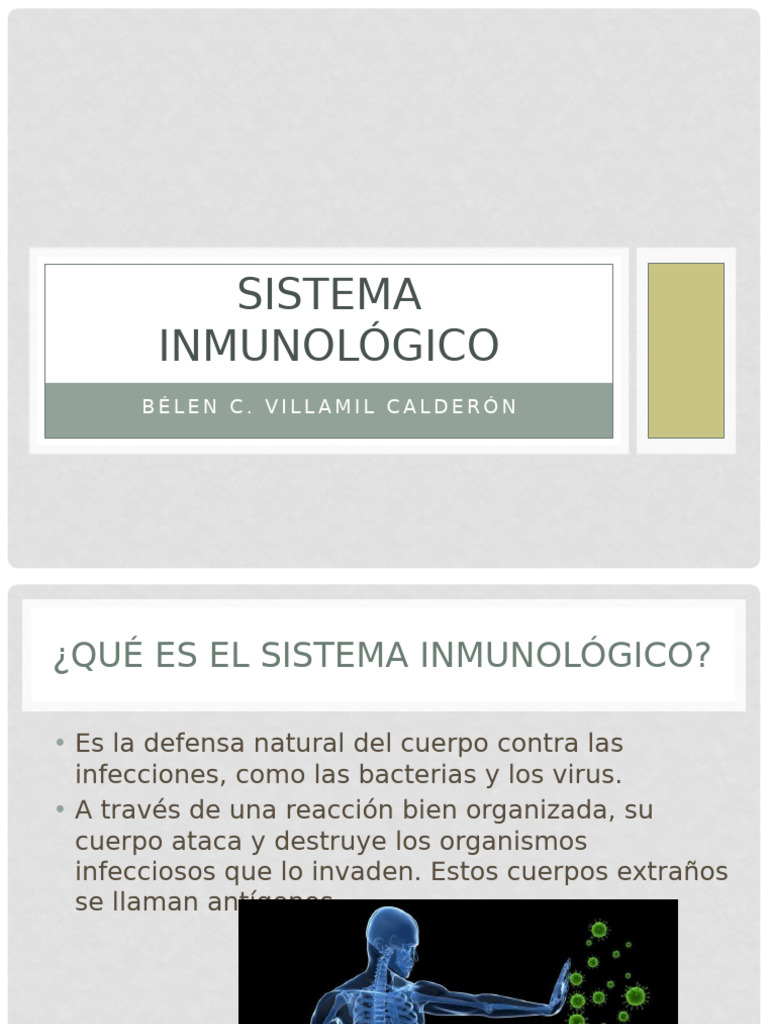 Sistema InmunolÃ Gico | PDF