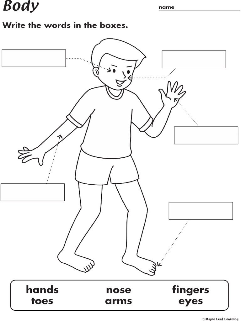 body-parts-worksheet | PDF