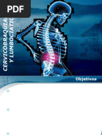 Compresion Radicular. | PDF | La columna vertebral | Sistema ...