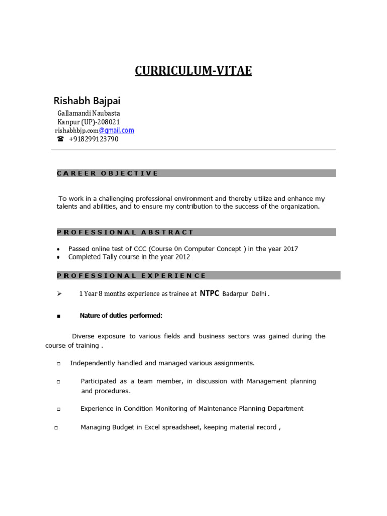 Rishabh Bajpai@Updated CV | PDF | Cognition | Business