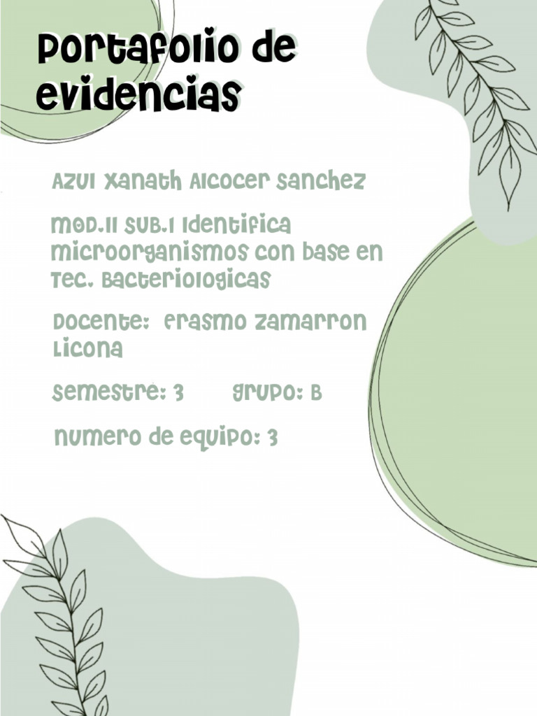 Portafolio Bacter | PDF