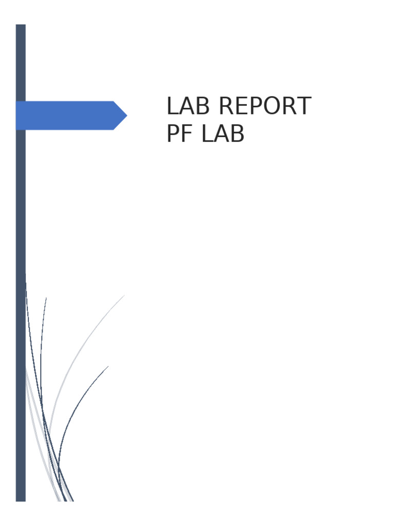 LAB REPORT PF LAB | PDF