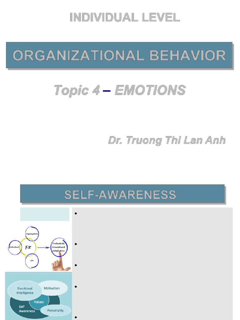 organization behavior – EMOTIONS | PDF