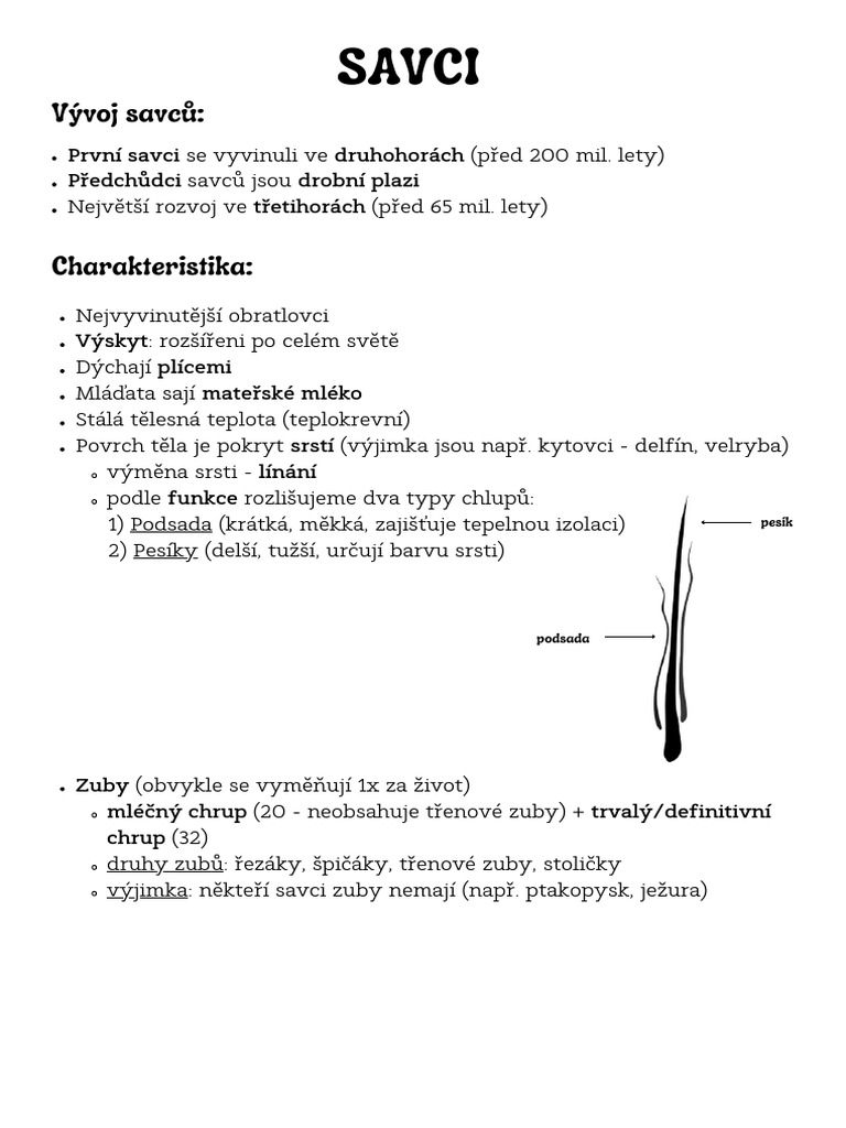Charakteristika Savcu | PDF