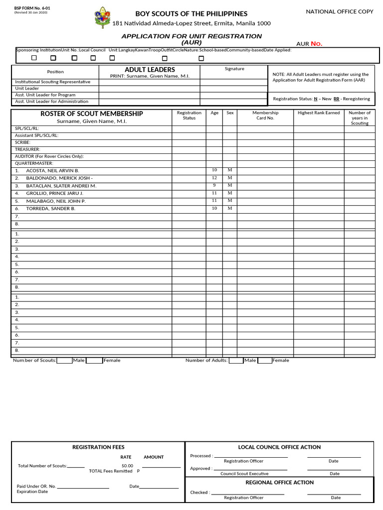 BSP REG .AUR Form | PDF