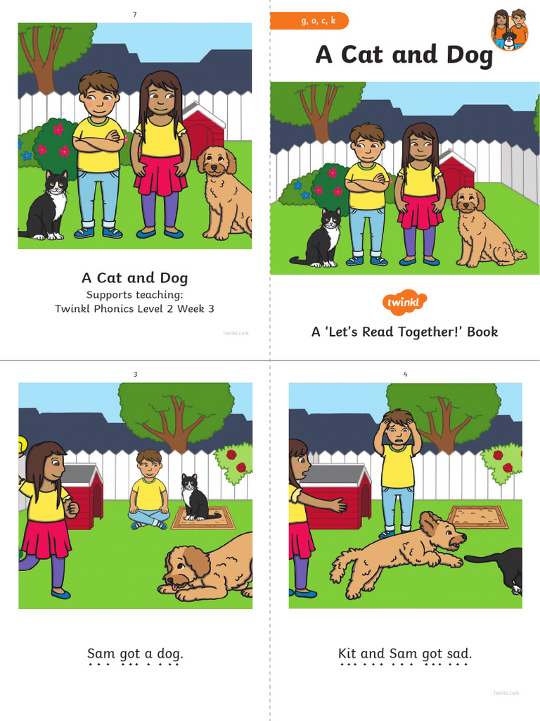 Level 2 Week 3 A Cat and Dog Reading Minibook | PDF