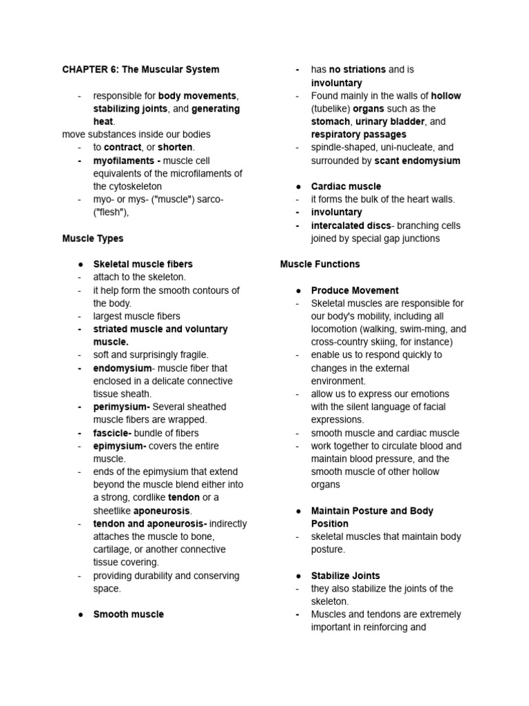 CHAPTER 6 Muscular System PDF | PDF