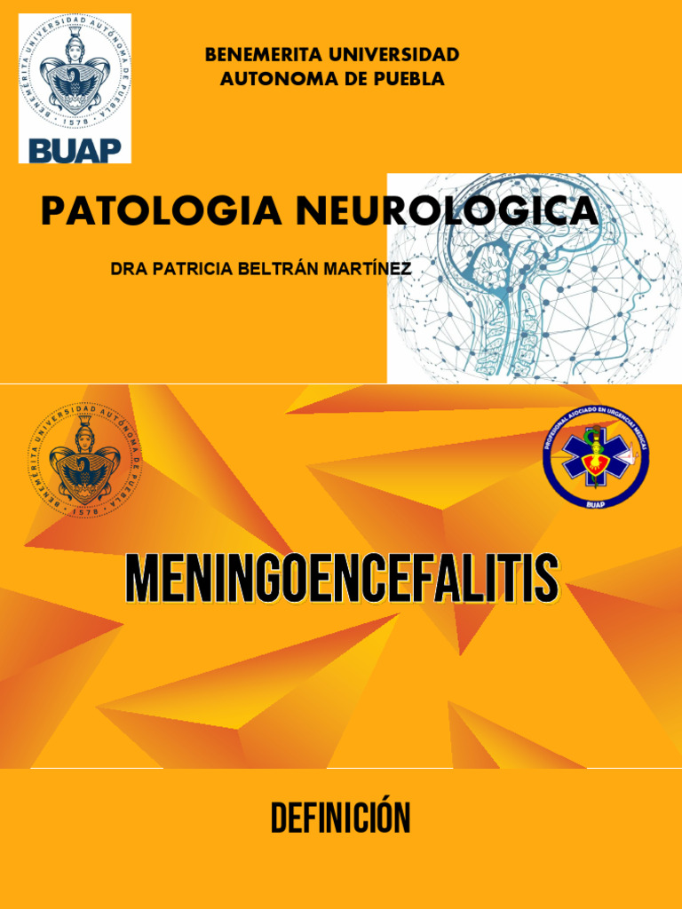 Patologia de Snc 1 | PDF